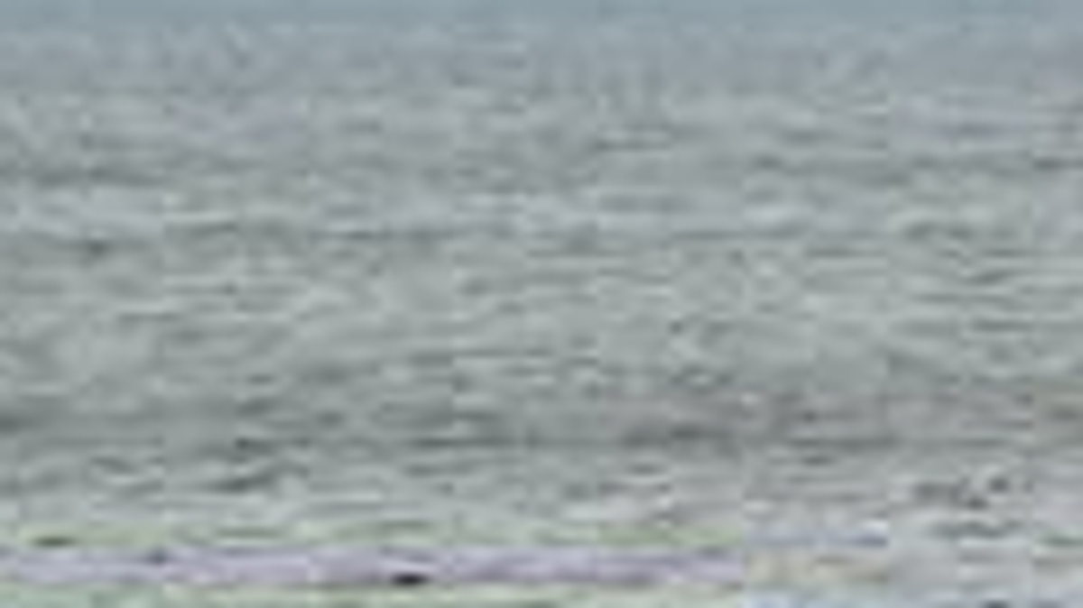 Effort to find missing man’s body in Lake Murray: SC DNR | The State