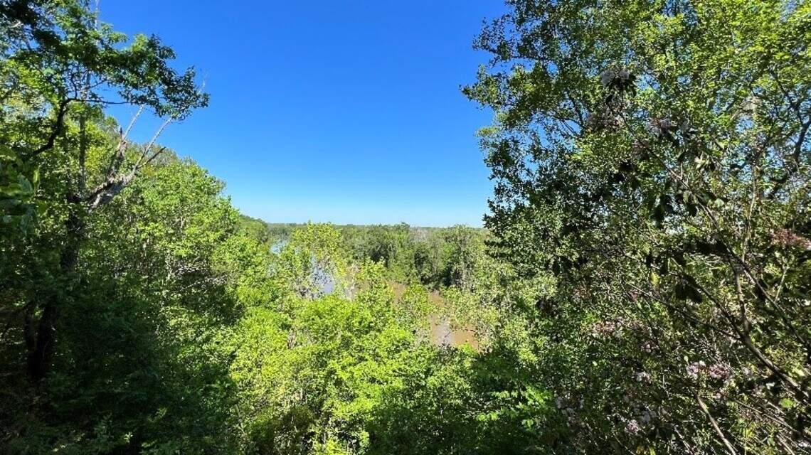 High bluffs protected near SC’s only national park | The State