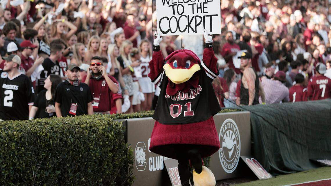 Sign up for the GoGamecocks newsletter | The State