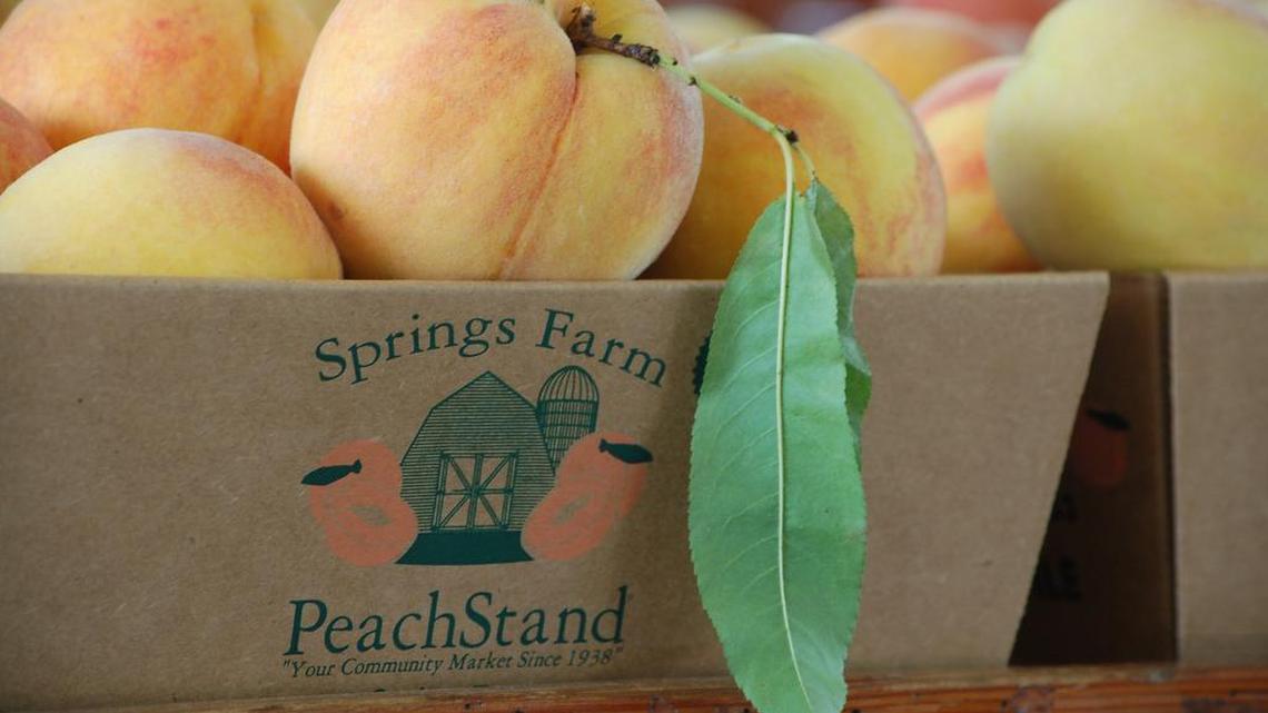 The Peach Stand in Fort Mill, SC to close for renovations | Rock Hill ...