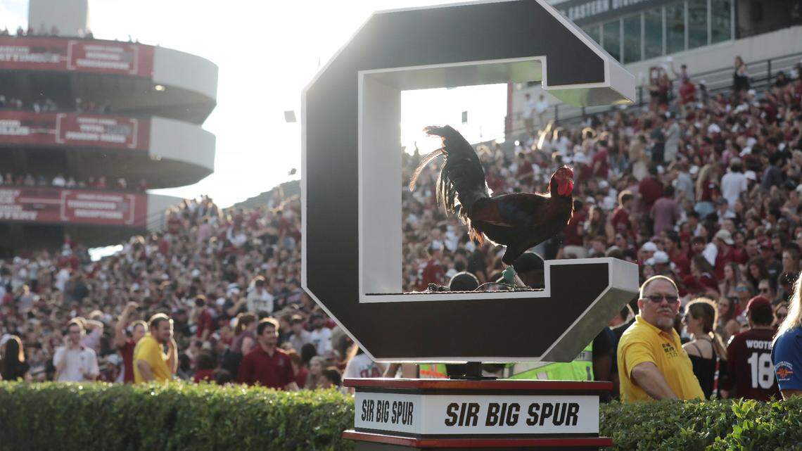 South Carolina vs SC State football TV channel, kickoff | The State