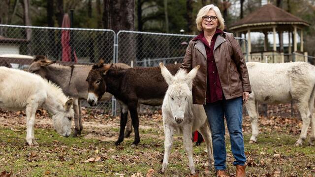 Lexington’s Shealy facing unusual incidents this campaign | The State