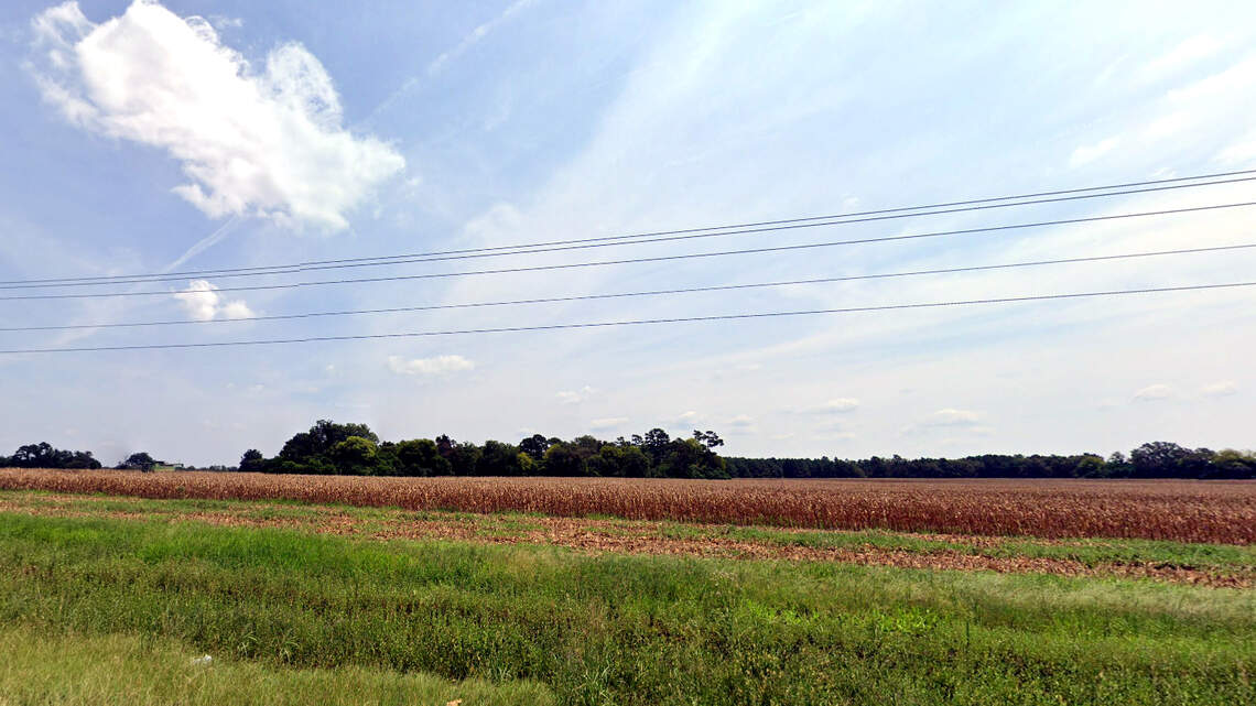 Steps recommended to curb Lexington County SC farmland loss | The State