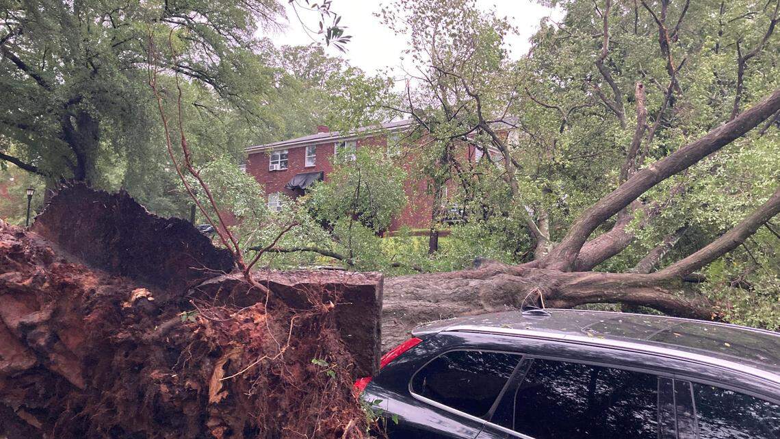 Recently presented data reveal level of hurricane damage in SC | The State