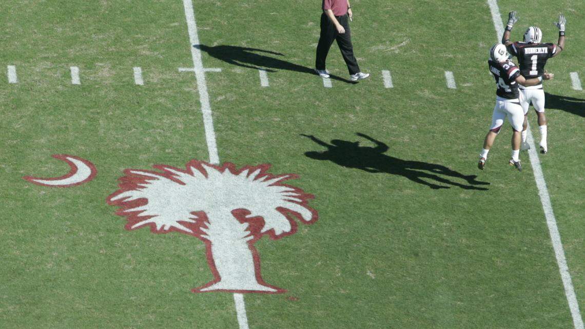 Gamecocks football: New home for on-field palmetto trees | The State