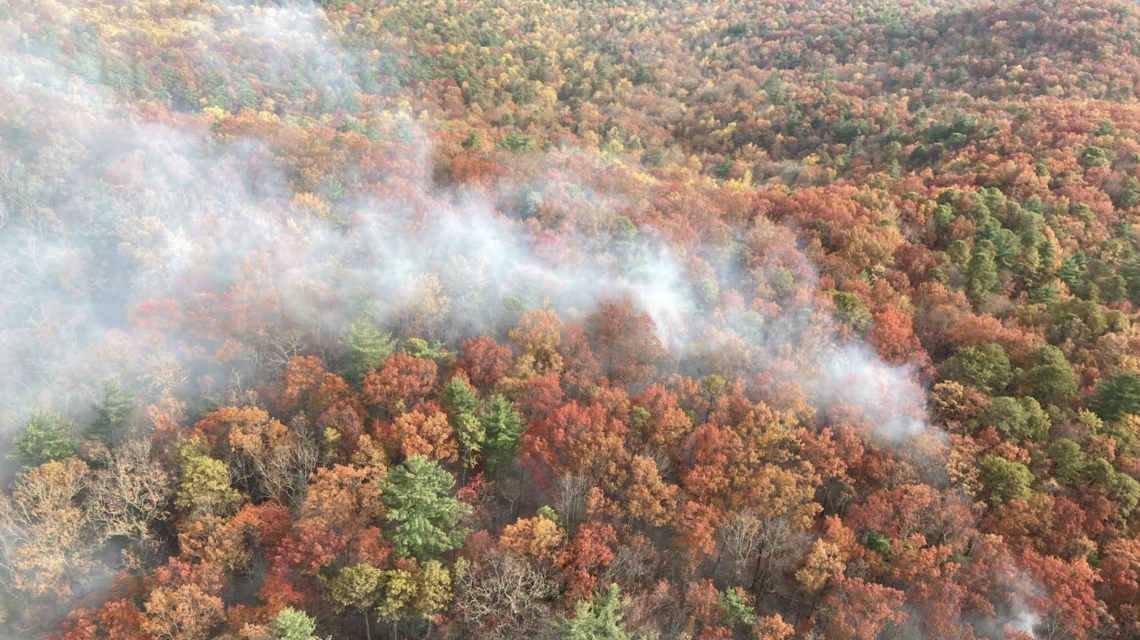 Large South Carolina wildfire grows, but is 25% contained | The State