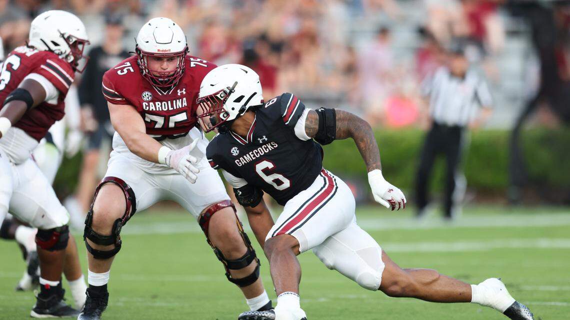 South Carolina football: Dylan Stewart makes early impression | The State