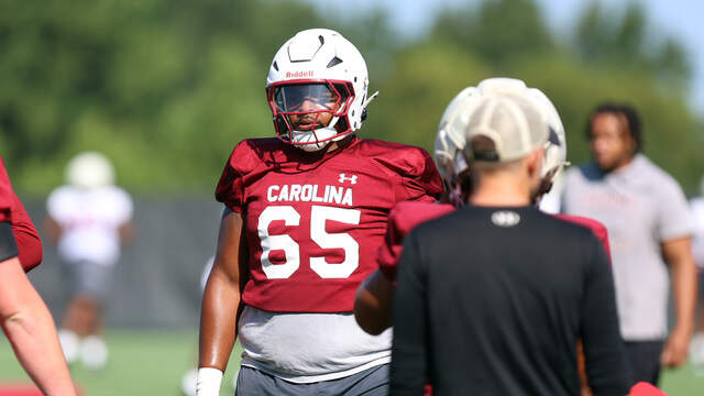 South Carolina football: Rodney Newsom Jr. to enter portal | The State