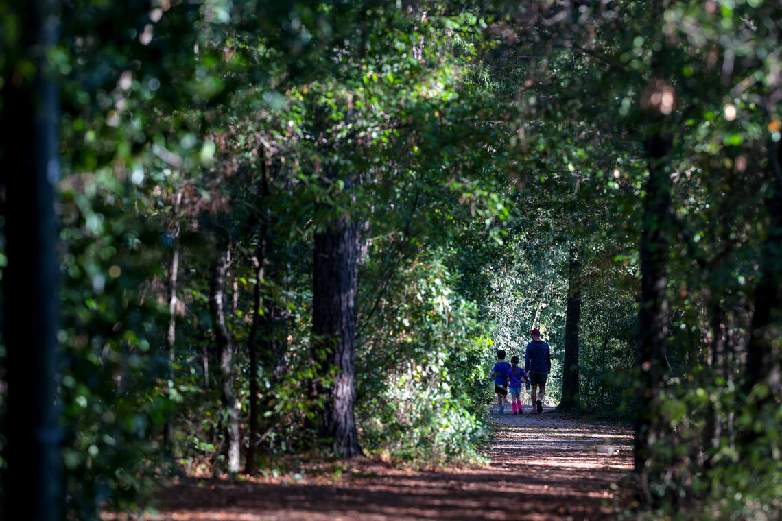 Rosewood embraces role as Columbia’s ‘idyllic’ neighborhood | The State