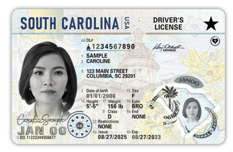 South Carolina unveils new 2026 license plates | Hilton Head Island Packet