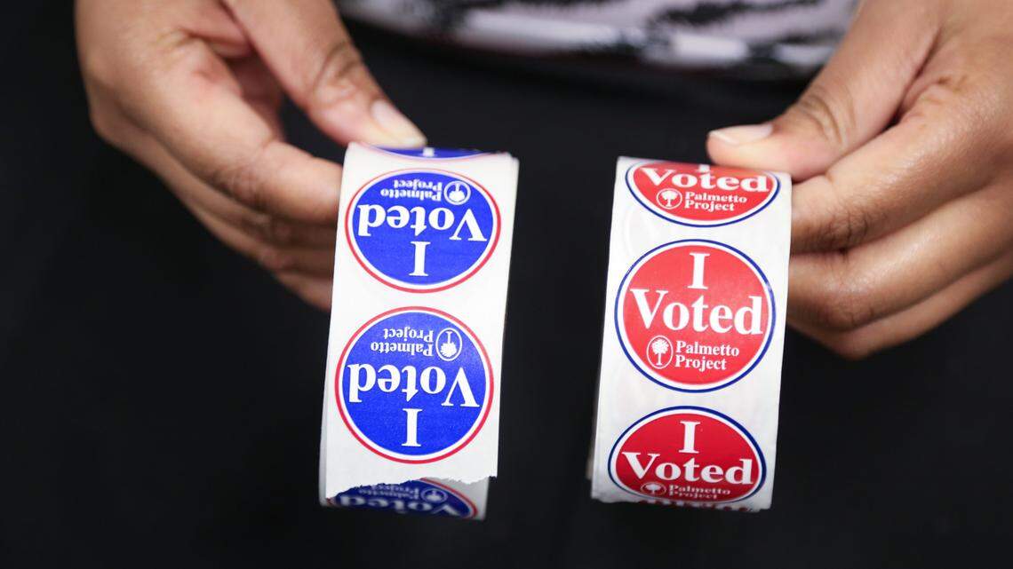 Voter Guide 2022: NC House candidate Rosa Gill, Democrat | Raleigh News ...