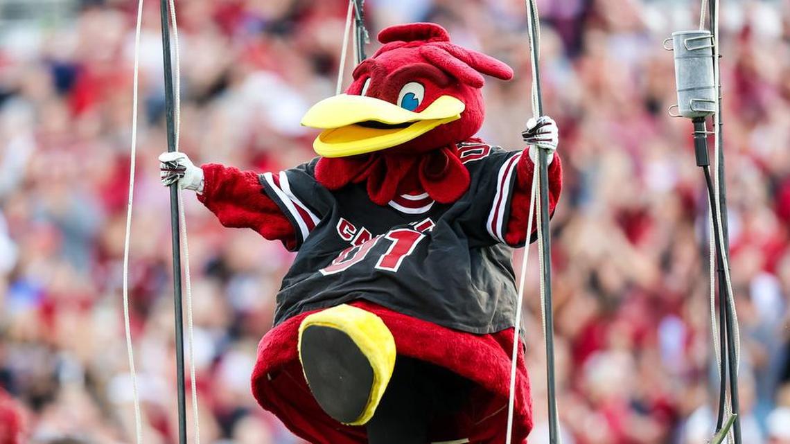 South Carolina football: Cocky’s new gameday entrance | The State